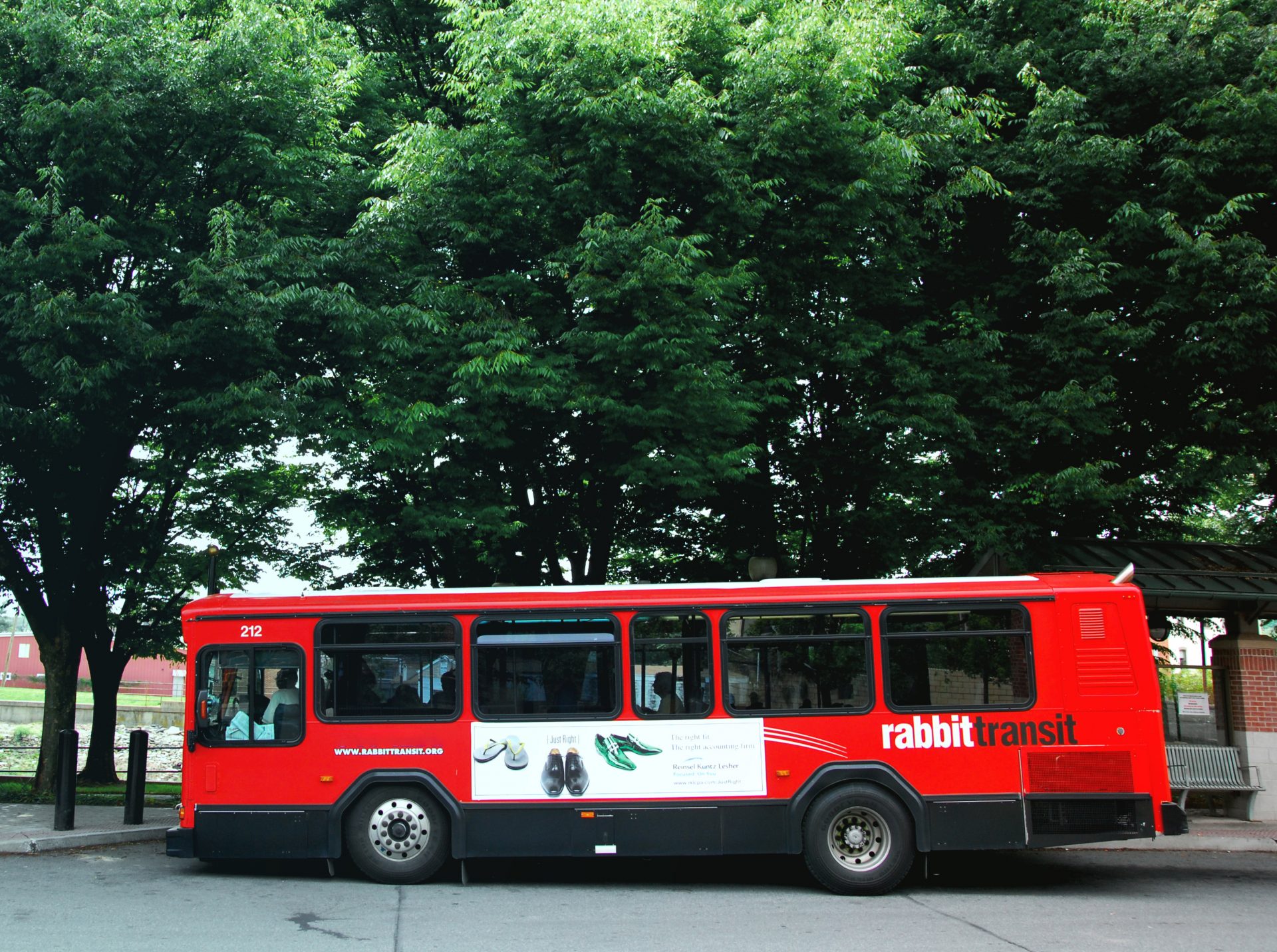 Advertising - rabbittransit